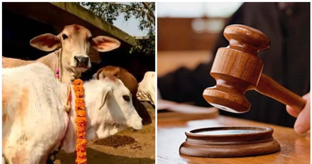 All of earth’s problems will be solved if cow slaughter is stopped ...