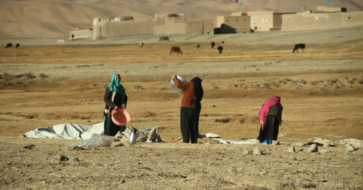 Western sanctions cause hunger in rural Afghanistan - Shia Waves