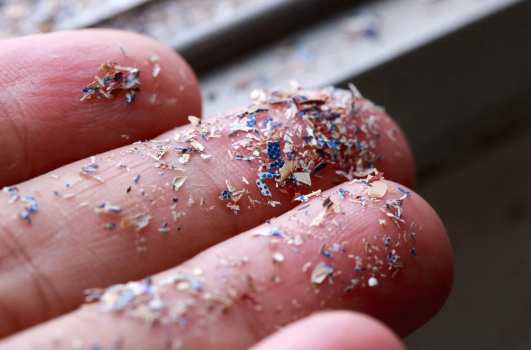 Food packaging plastic particles enter your brain - Shia Waves