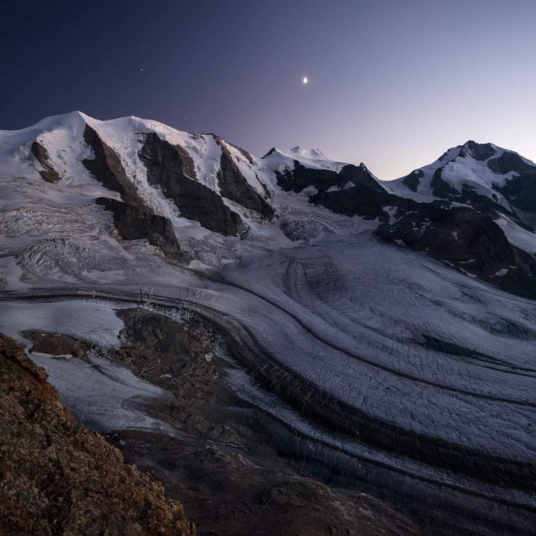 Climate change drives habitat loss in European Alps - Shia Waves