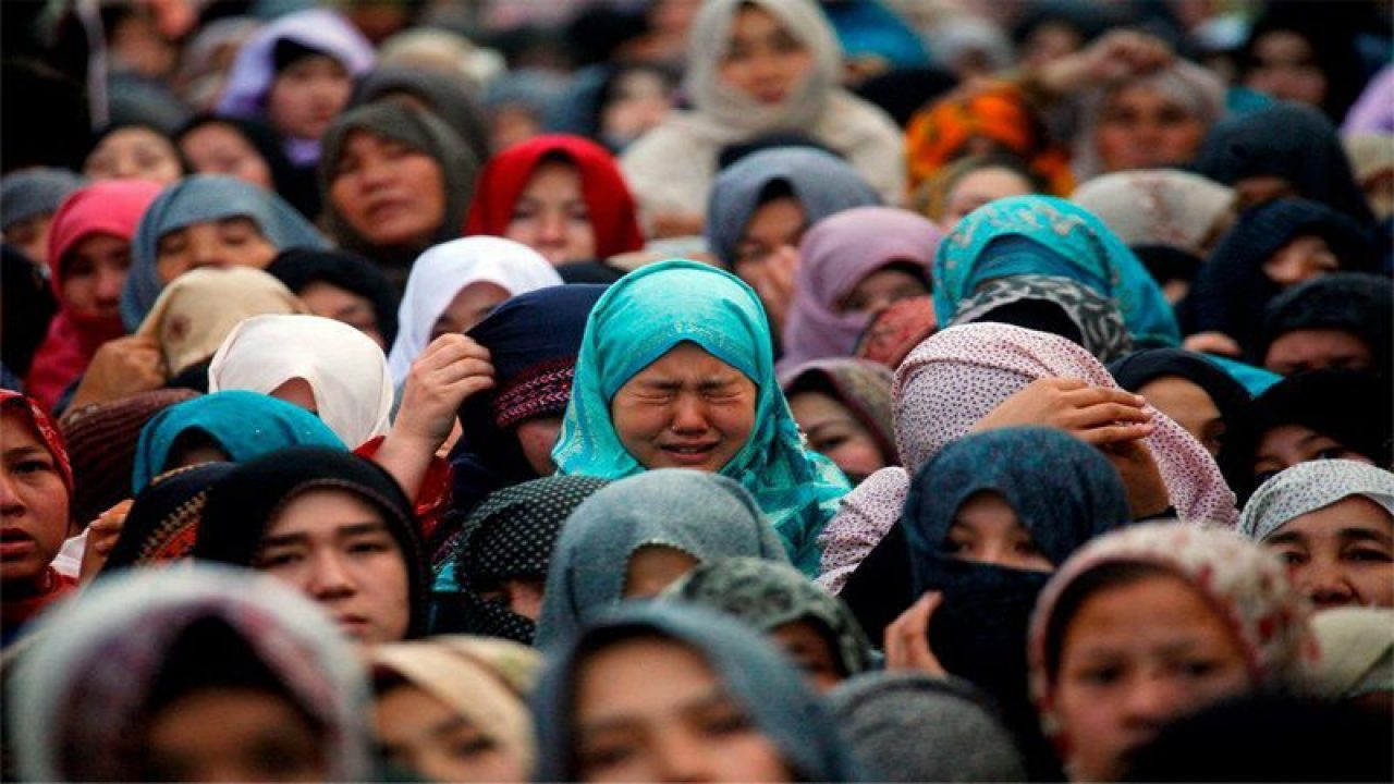 Shia Hazara family pledge to uplifting fellow refugees in New Zealand ...