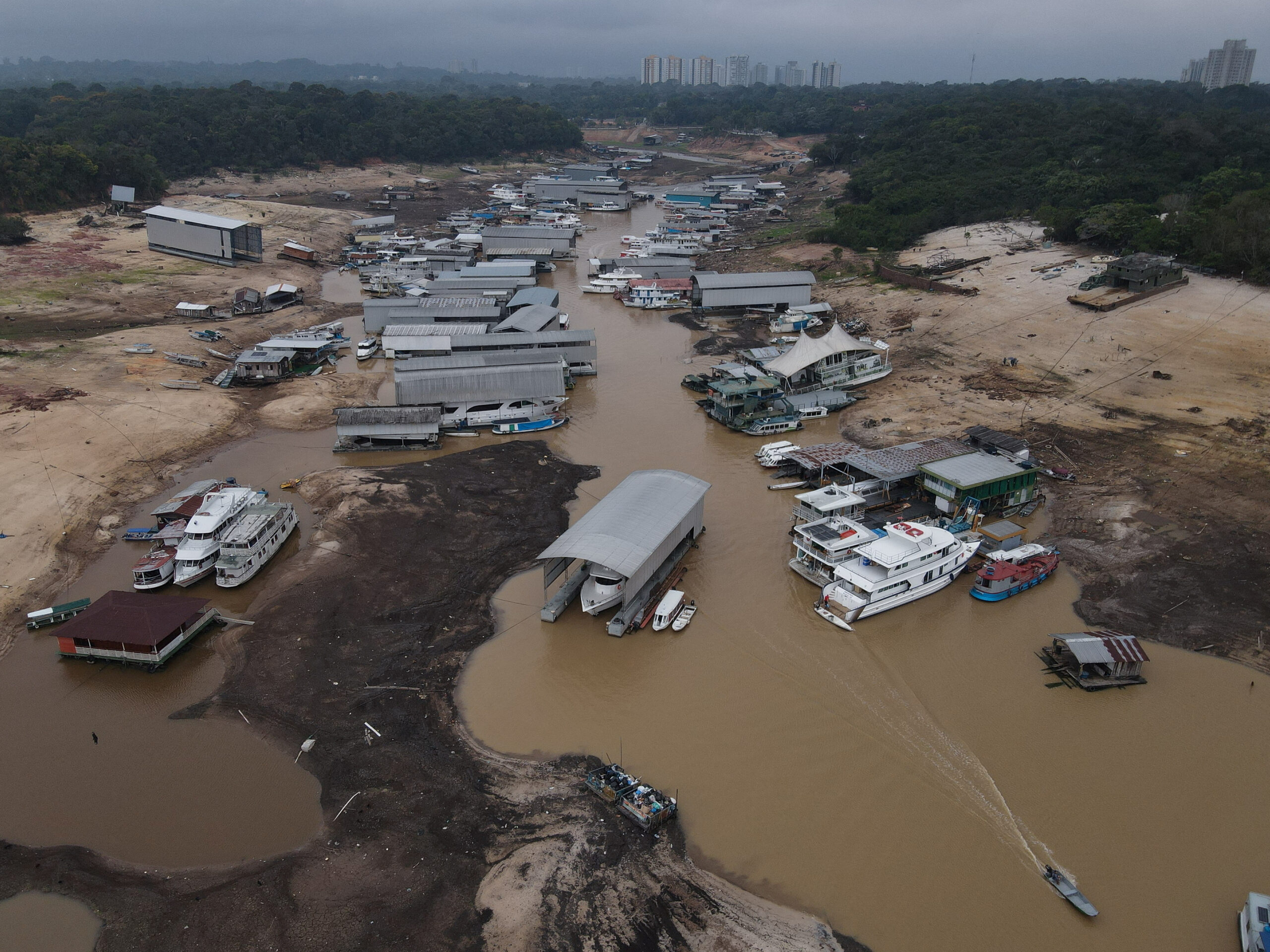 Amazon River falls to lowest level in over a century amid severe ...