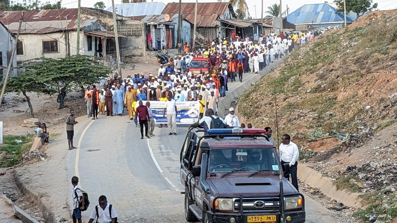 Shia Muslims in Tanzania celebrate blessed birth anniversary of ...