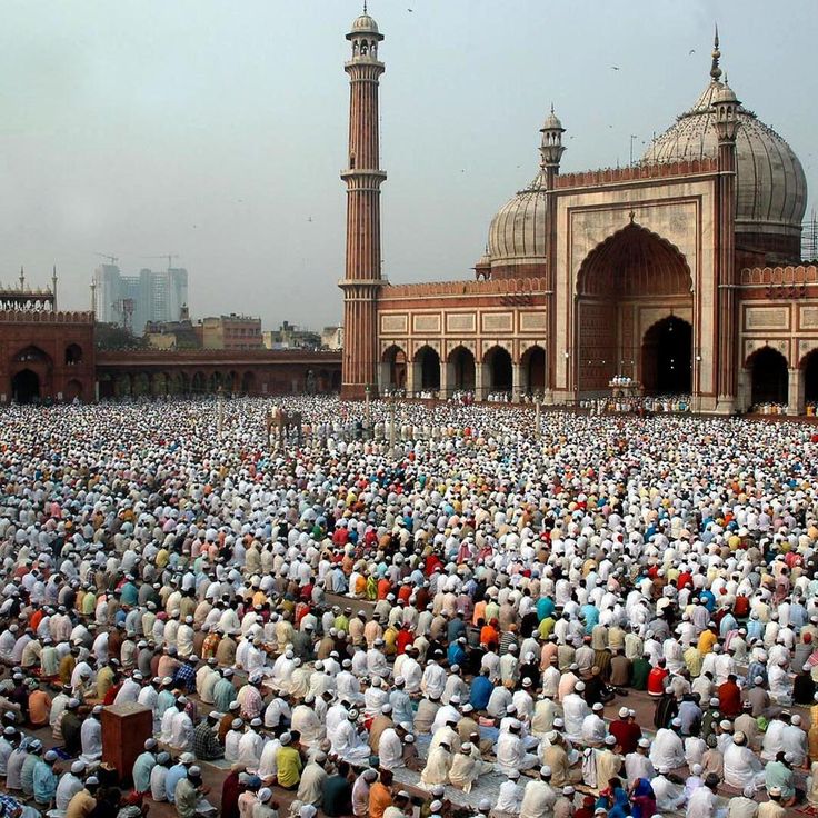 India: Assam Cabinet to carry out census on native Muslims - Shia Waves