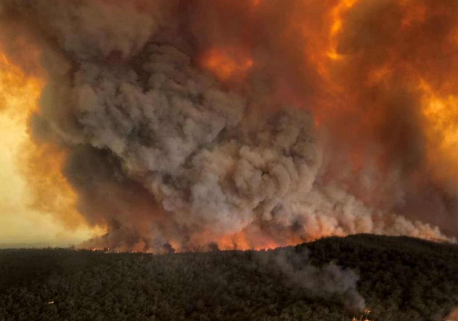 Authorities order massive evacuation as huge bushfire rages through ...