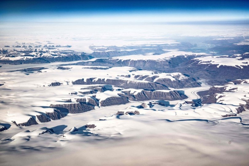 Climate experts express concern over flourishing plant life at ...