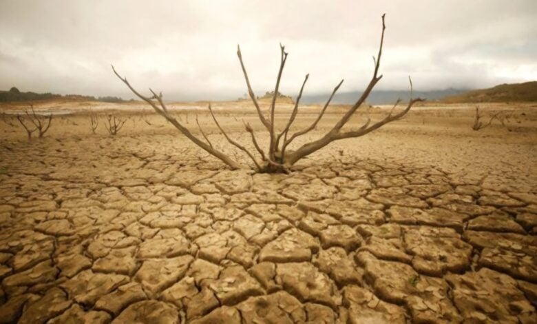 Iraq: Agriculture threatened by desertification, land degradation ...