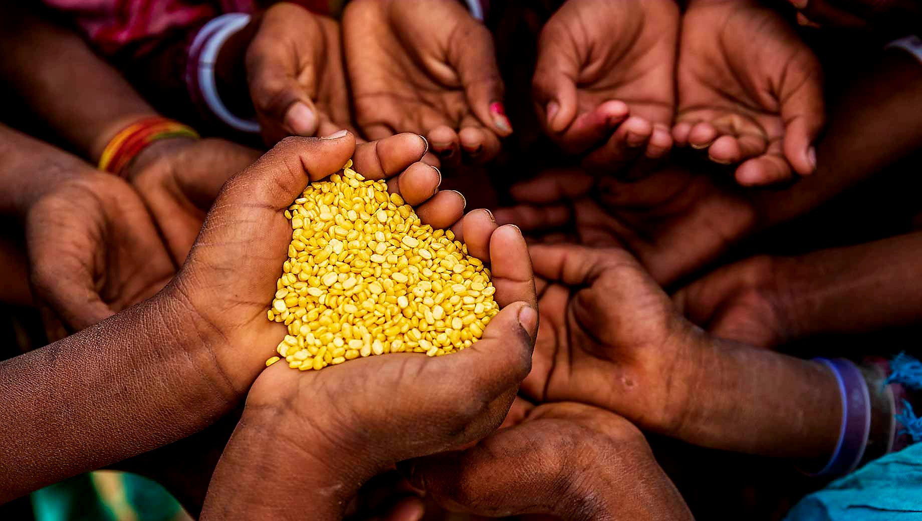 Ongoing conflicts, climate change crises exacerbated food insecurity in ...