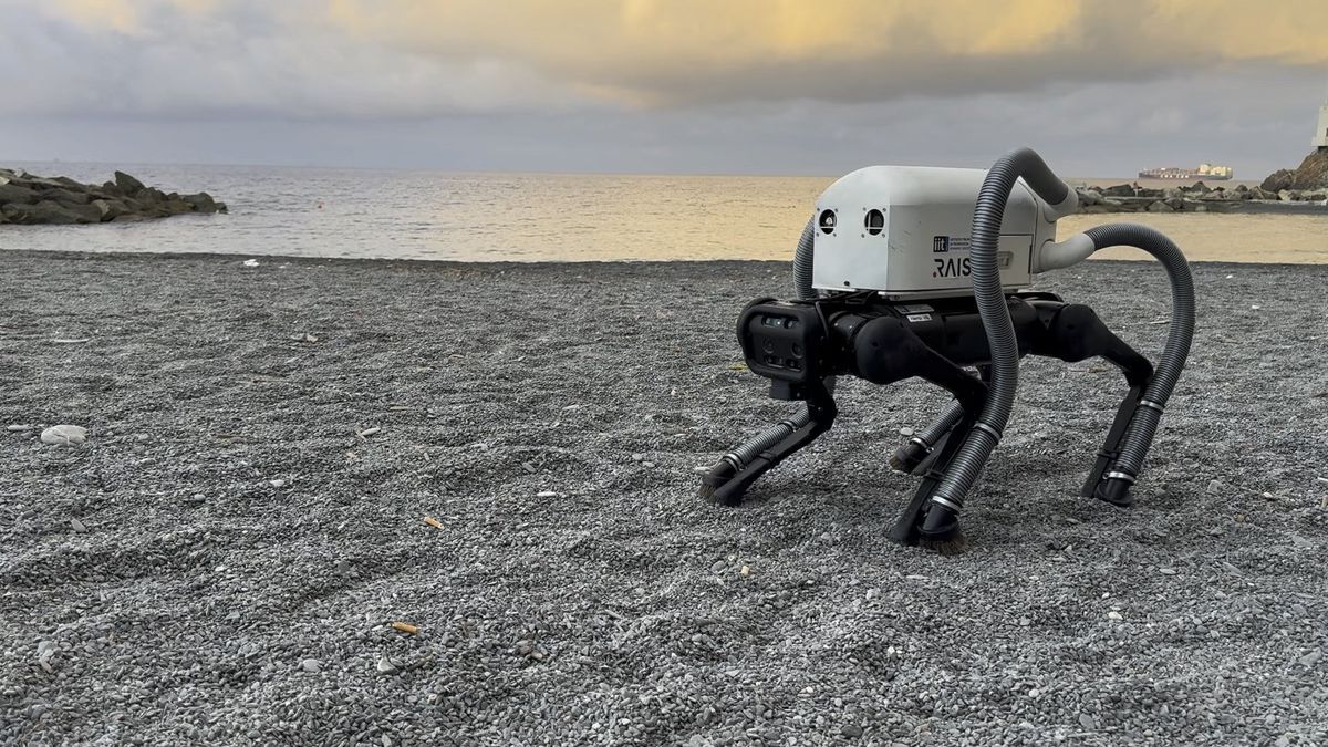 Italian scientists develop legged robot that can clean up beaches ...