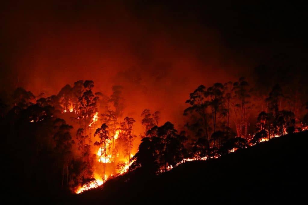 Brazil sees record wildfires amid drought, suspected criminal activity ...