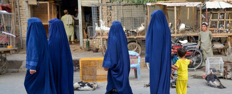 ECJ Rules Afghan Women Eligible for Asylum Based on Gender and Nationality - Shia Waves