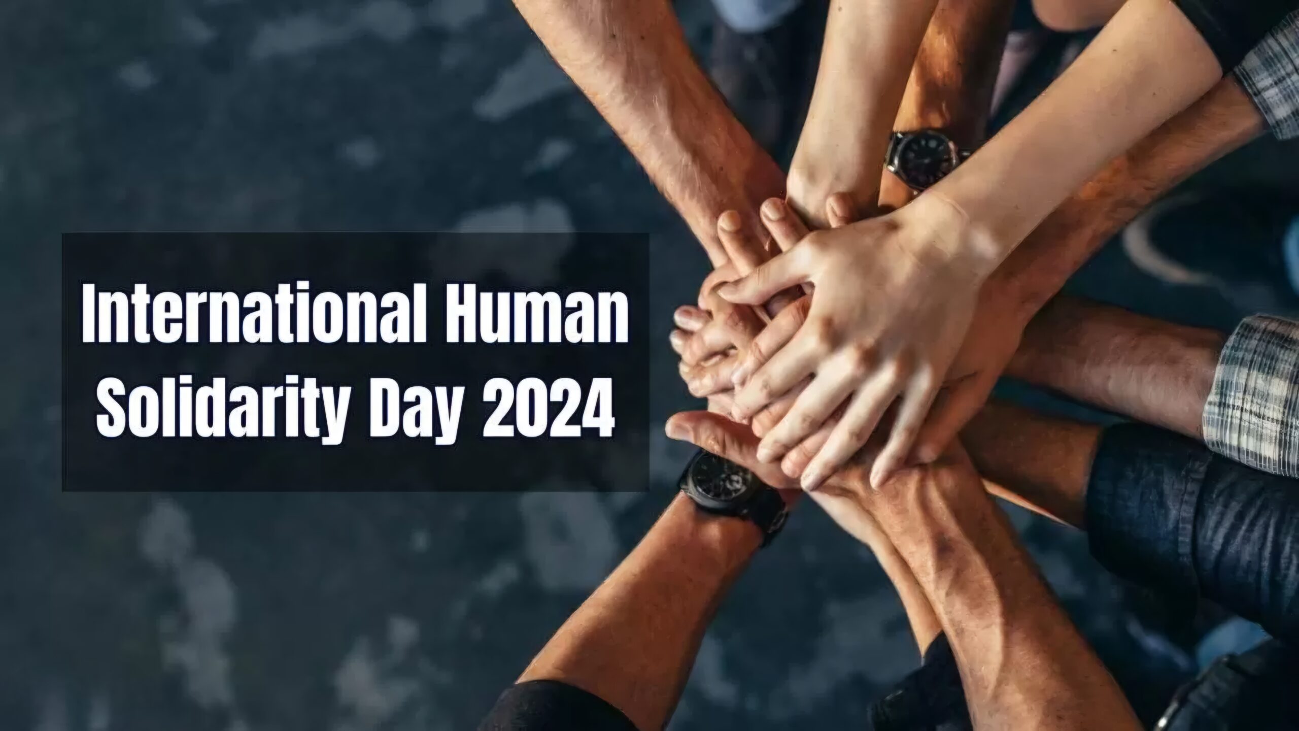 International Human Solidarity Day observed worldwide - Shia Waves