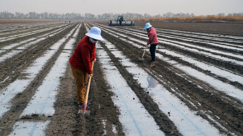 Illegal Wells in Xinjiang Cause Tension, Dry up Land - Shia Waves