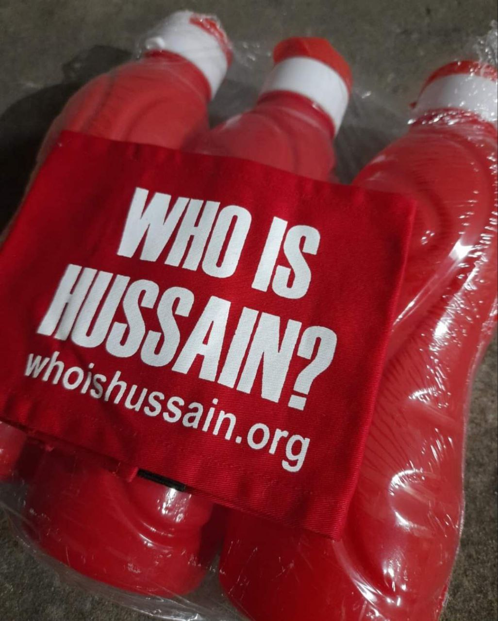 UK-based "Who is Hussain?" highlights its key 2024 humanitarian ...