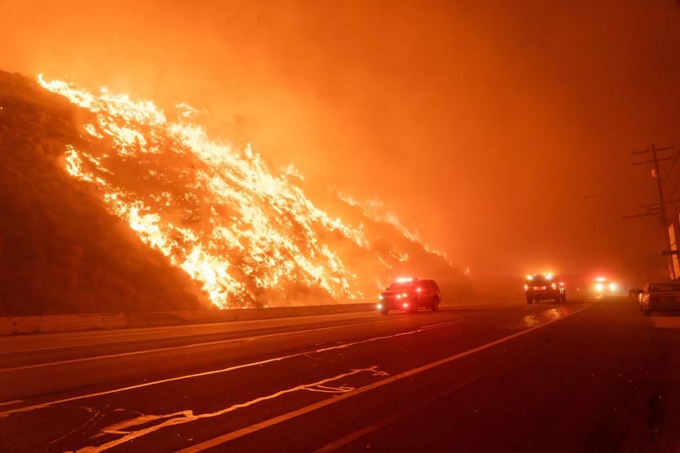 Catastrophic Los Angeles wildfires leave at least five dead, thousands displaced - Shia Waves