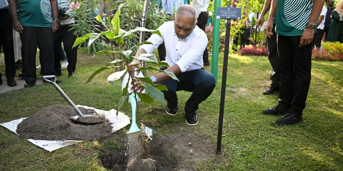Maldives Plans to Plant 2 million Trees in 2025 - Shia Waves