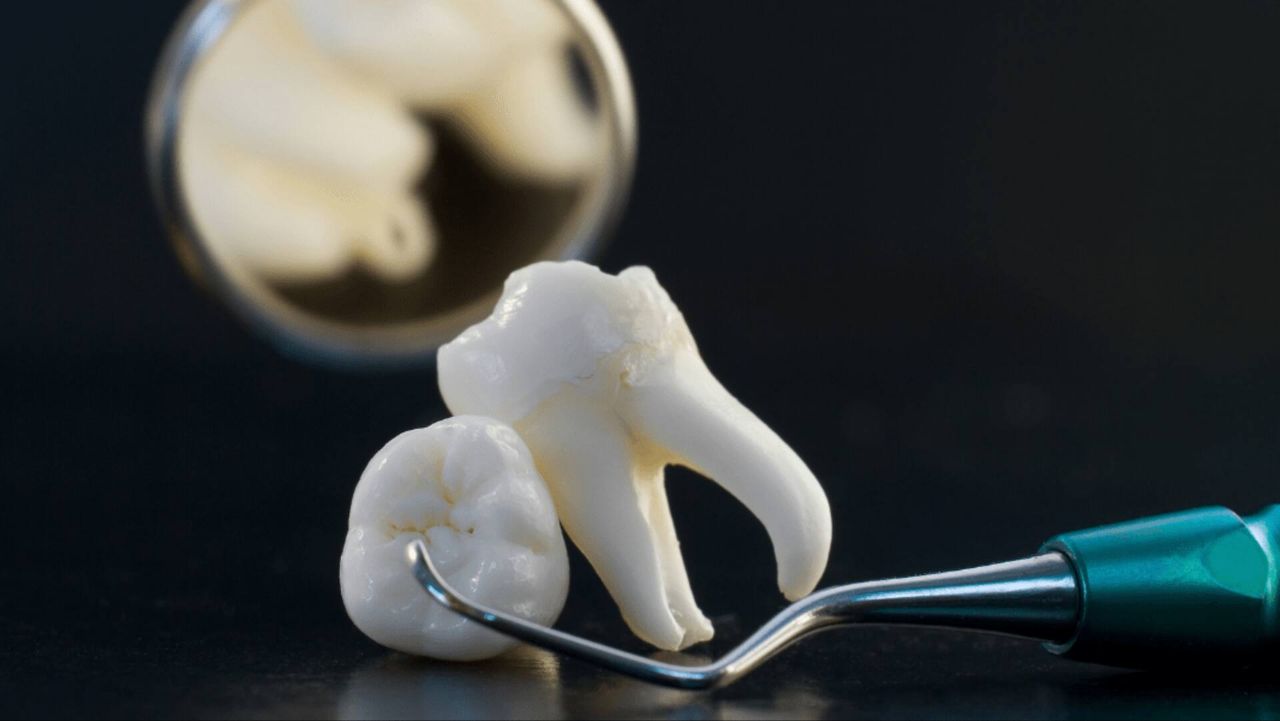 UK scientists grow human teeth in lab in major dental breakthrough ...